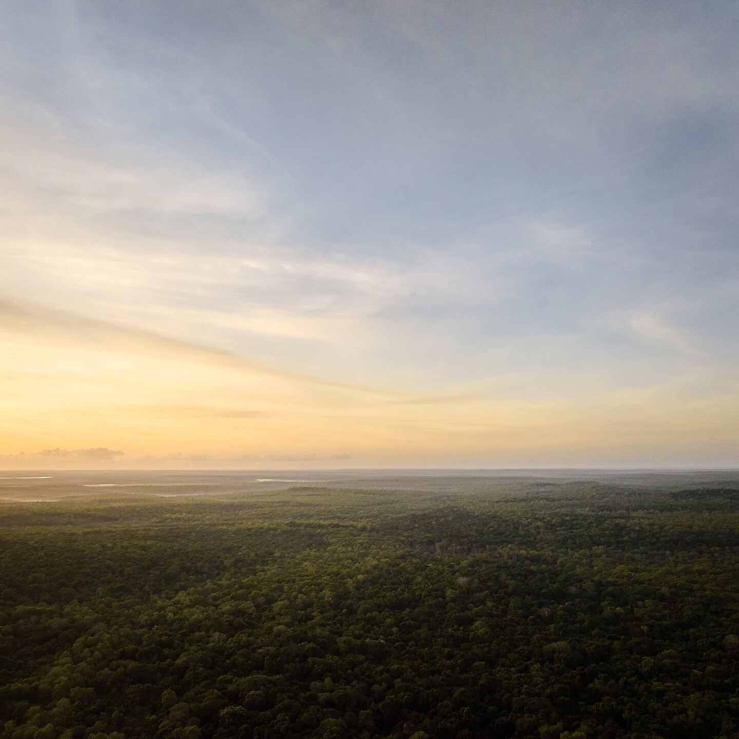 Louis Vuitton & People for Wildlife | LOUIS VUITTON